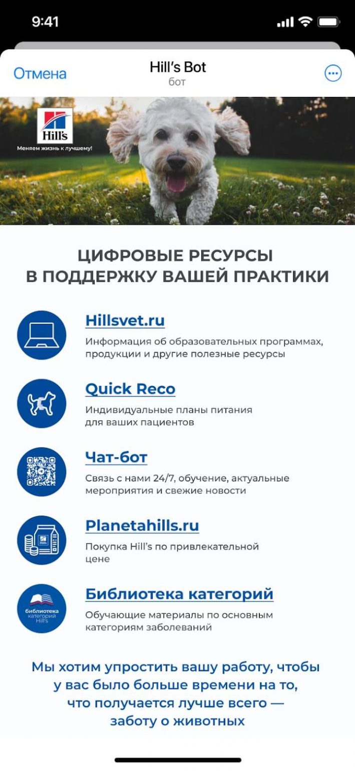 Кейс по разработке чат-бота и приложения для ветеринаров | Cleverbots